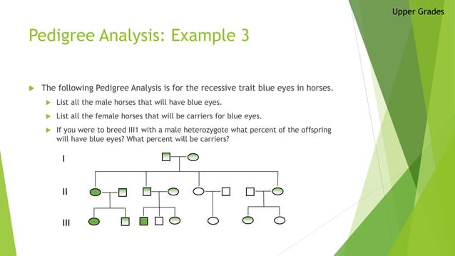 Genetics-Pedigree-Analysis-PowerPoint.pdf | Genetics | Science