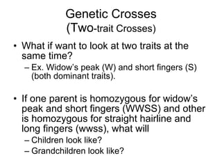 Genetics pp | PPT