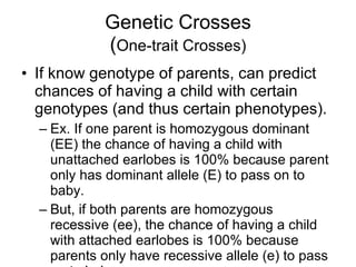 Genetics pp | PPT