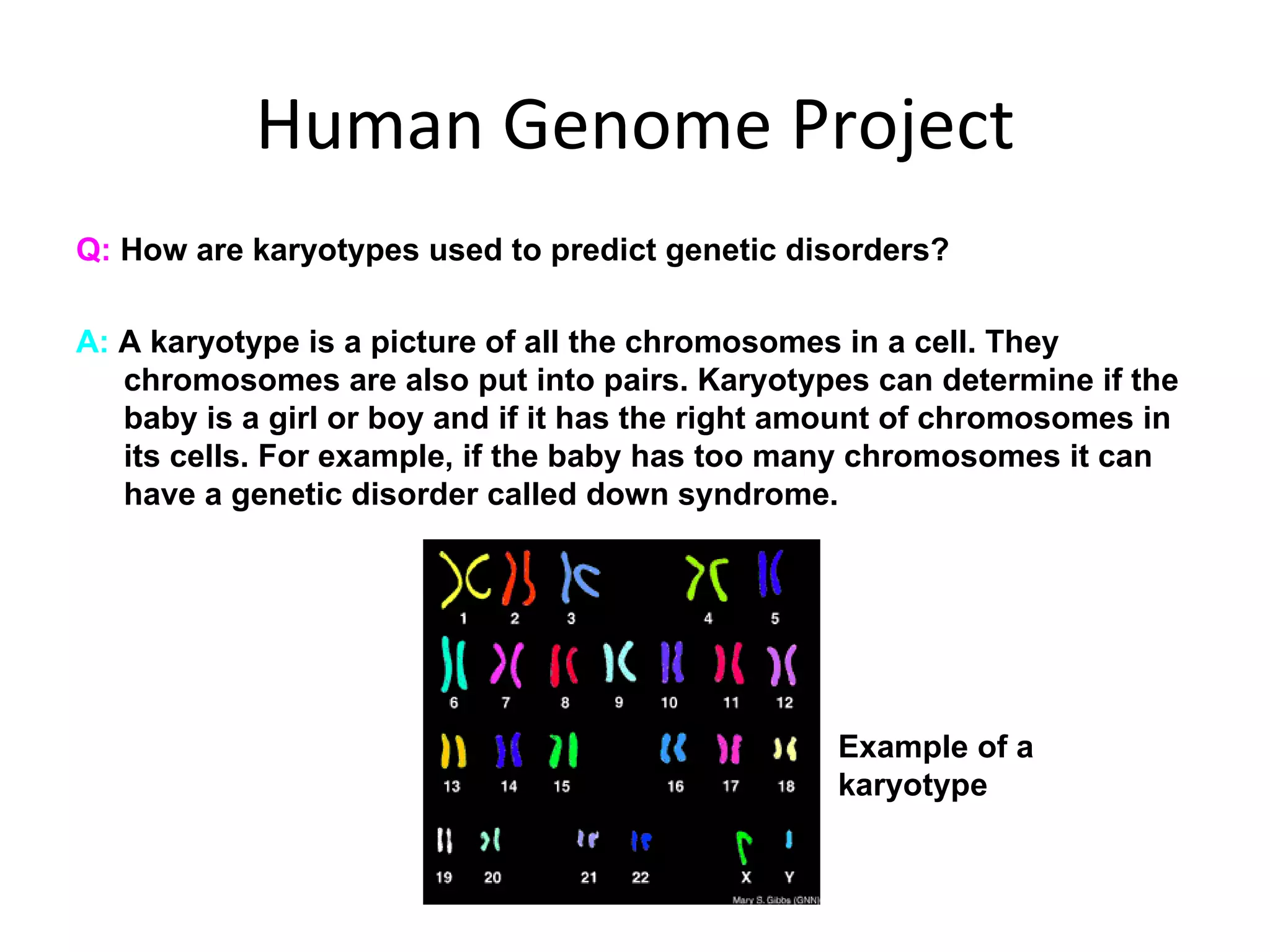 Genetics research-template | PPT