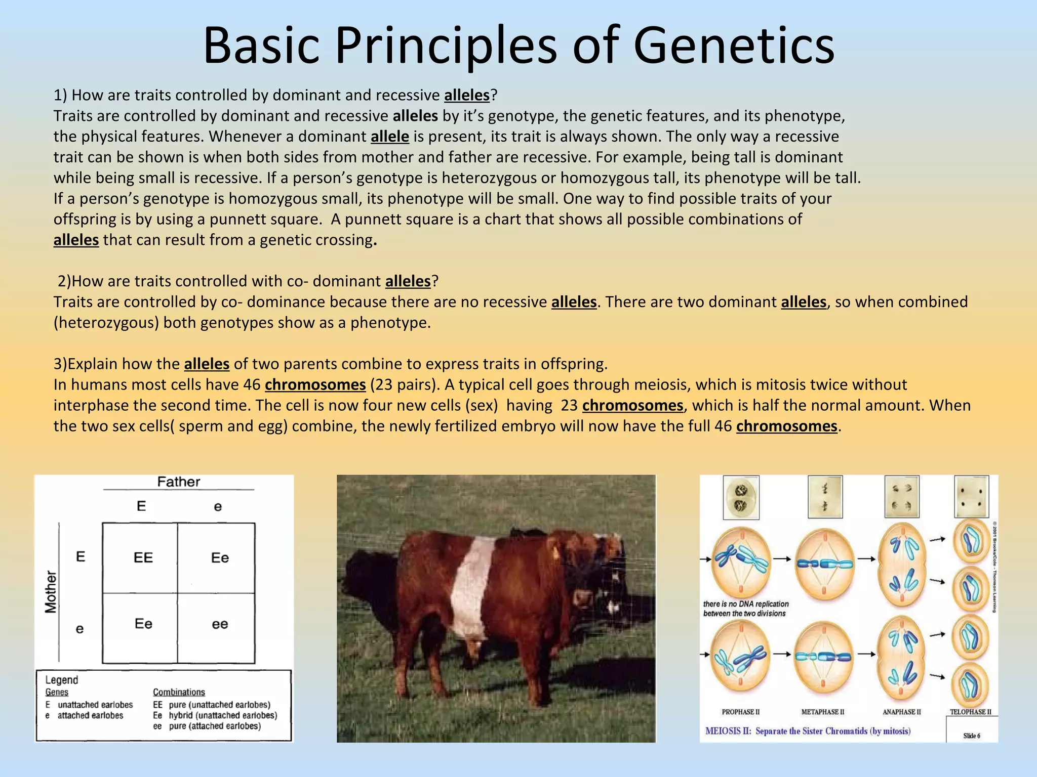 Genetic Issues | PPT | Infertility | Reproductive Health
