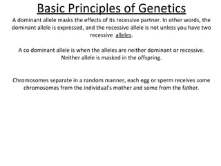 Genetics research-template | PPT