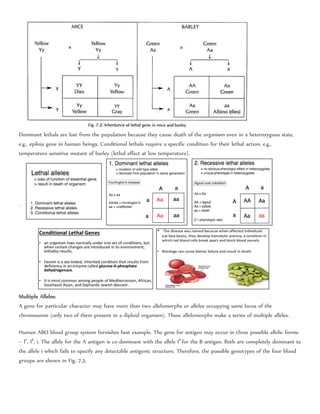 Genetics stem-12 | PDF