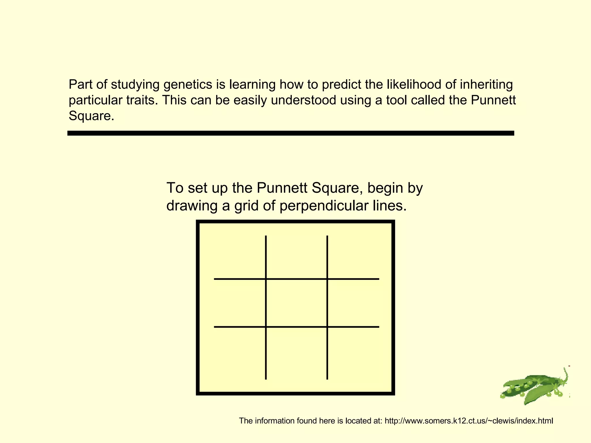 Genetics - Using The Punnett Square | PPT