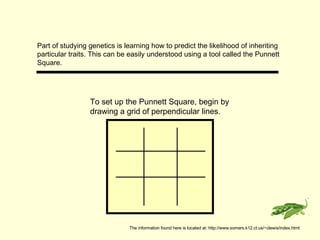 Genetics - Using The Punnett Square | PPT