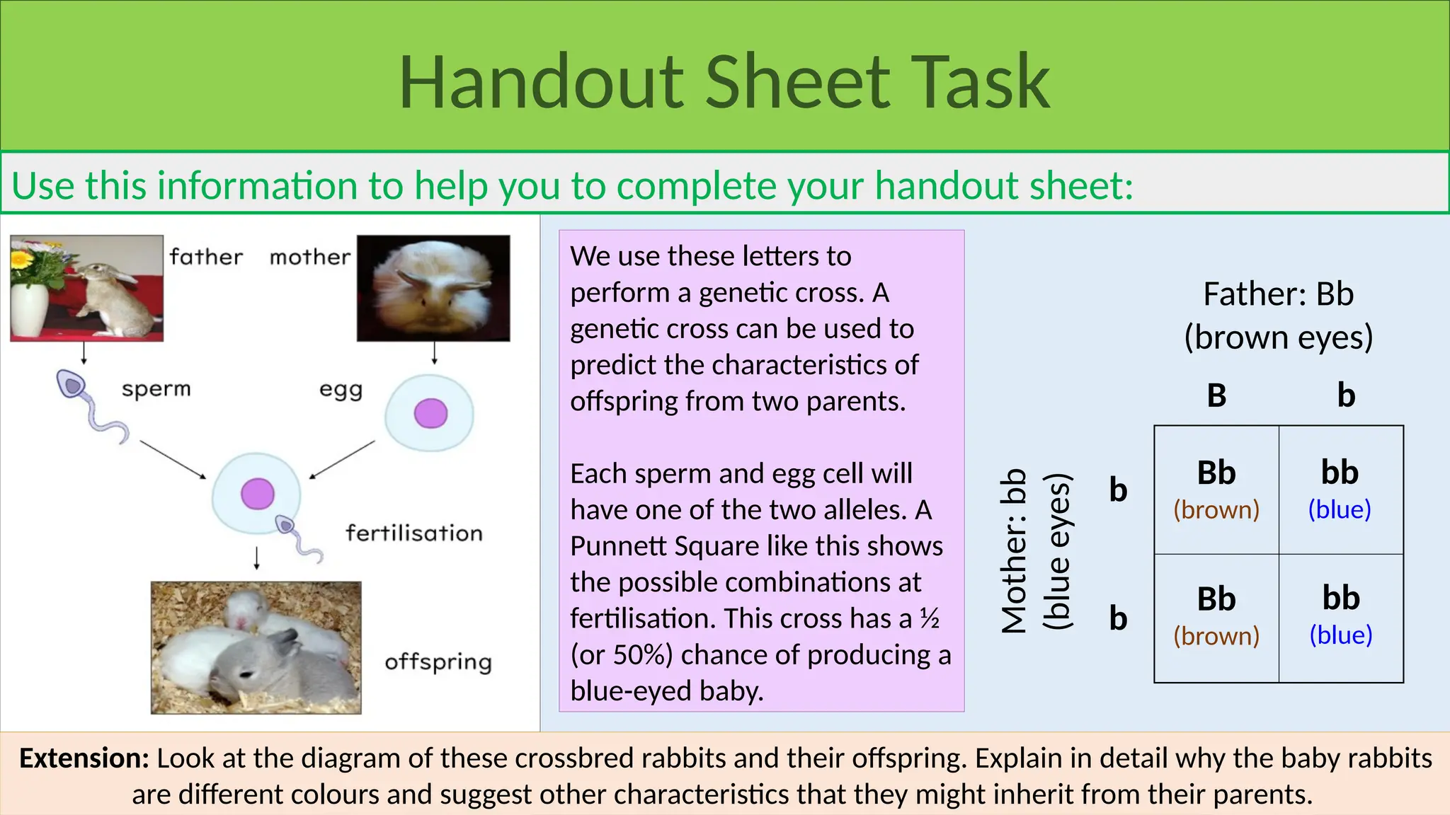 Genetics-Year-9-Key-Stage-3-Troilor.pptx