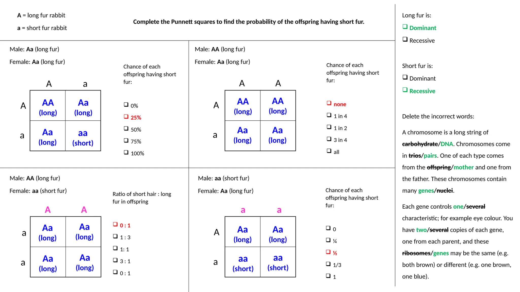 Genetics-Year-9-Key-Stage-3-Troilor.pptx