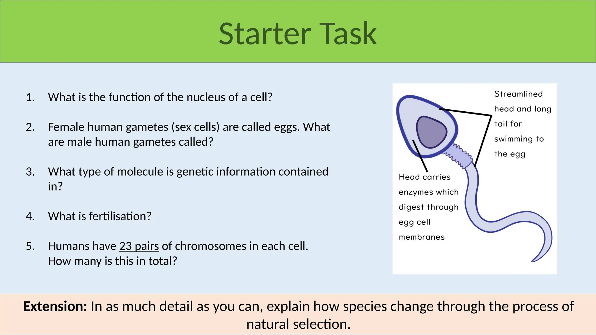 Genetics-Year-9-Key-Stage-3-Troilor.pptx