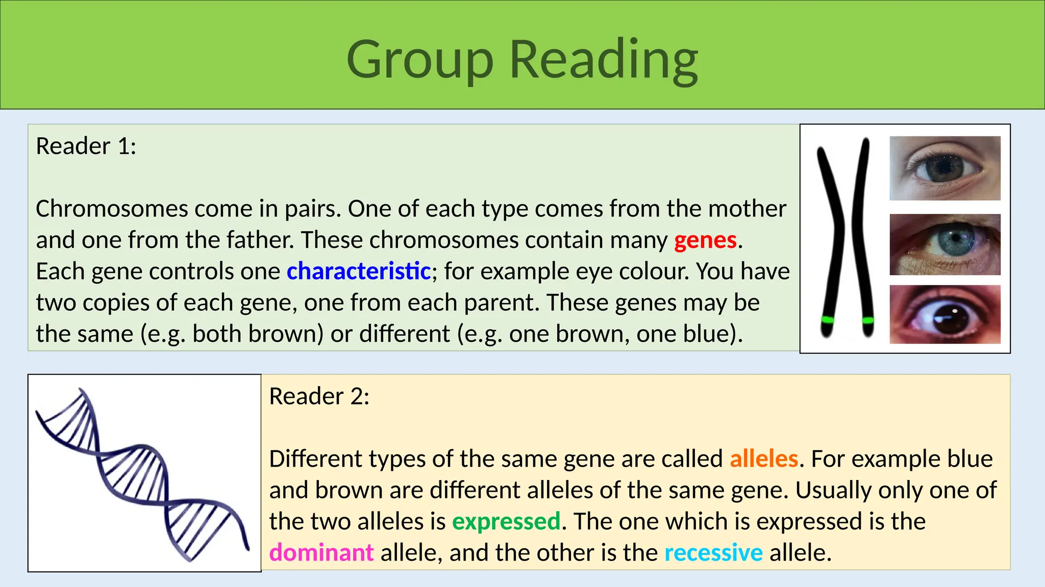 Genetics-Year-9-Key-Stage-3-Troilor.pptx
