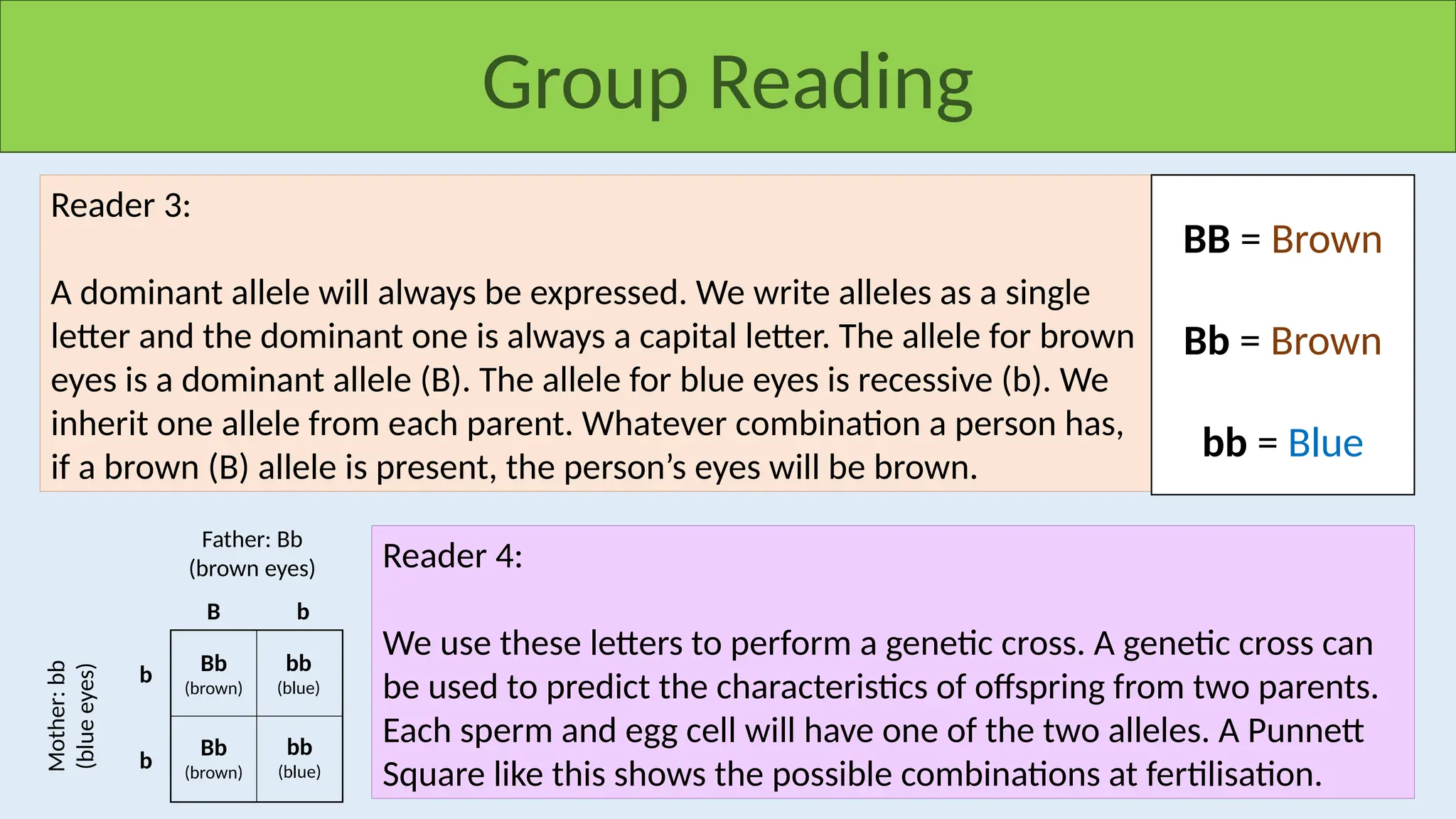 Genetics-Year-9-Key-Stage-3-Troilor.pptx