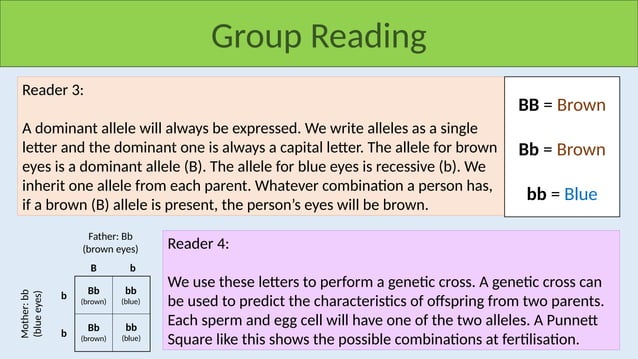 Genetics-Year-9-Key-Stage-3-Troilor.pptx | Reproductive Health ...