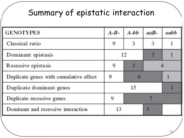 Epistatic Interaction - 02 03-2015