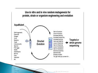 mutagenesis and genetic disorders | PPTX