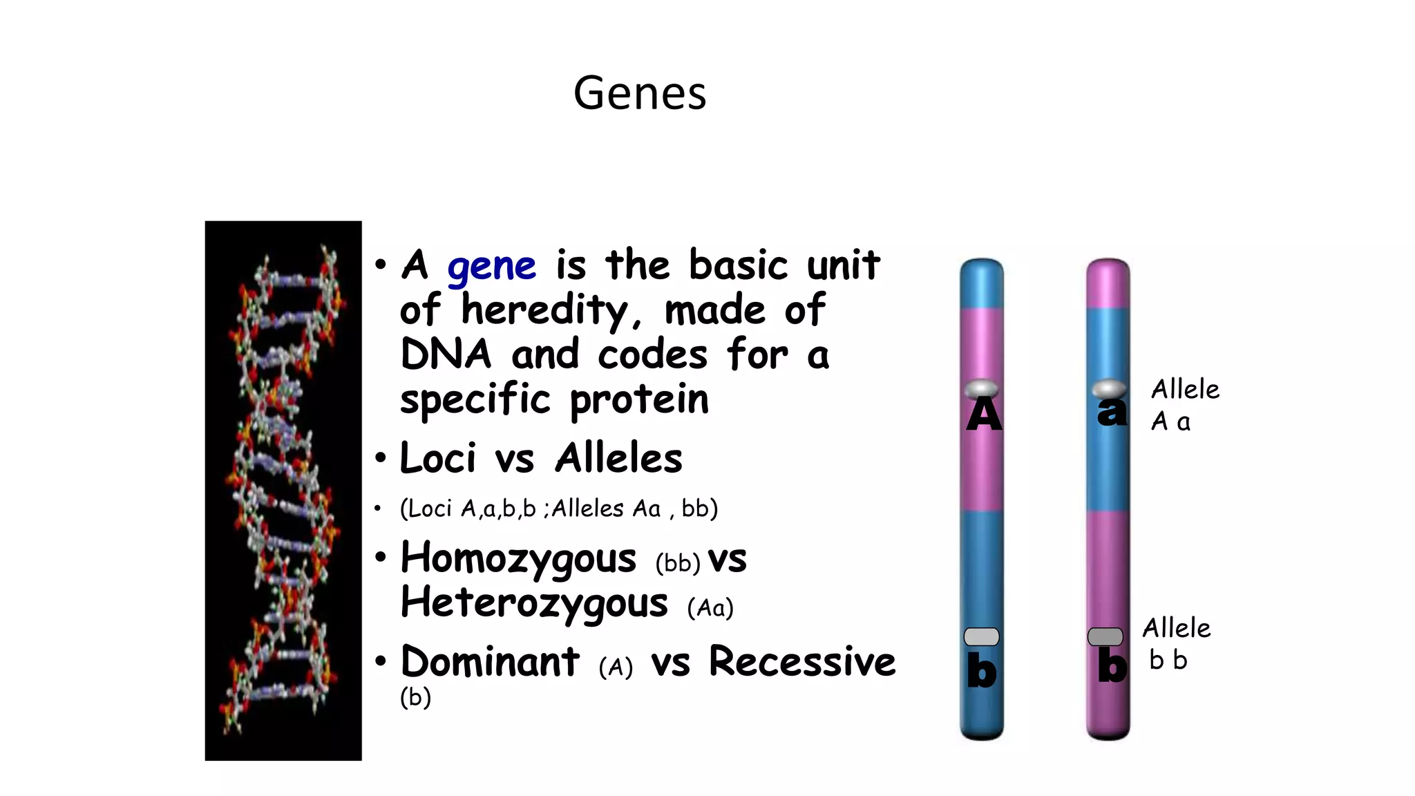 Genetics | PPTX
