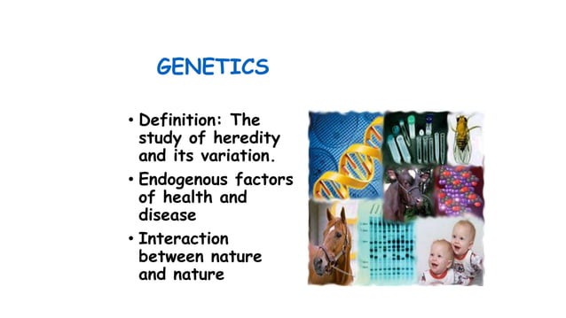 Genetics Ppt 7293