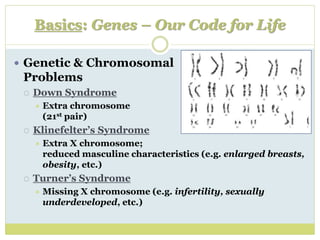 Genetics (1).ppt