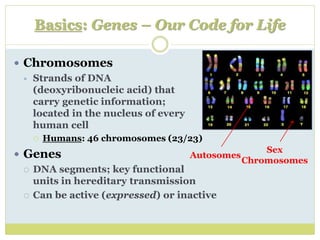 Genetics (1).ppt
