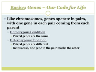 Genetics (1).ppt