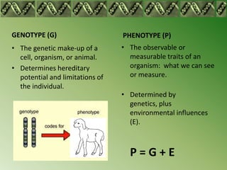 Genetics 101 | PPTX