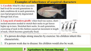 Lamarckism 1809 Jean Baptiste Lamarck Theory of acquired characters.pdf