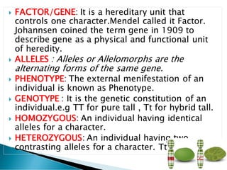 Genetics 10th ncert | PPT