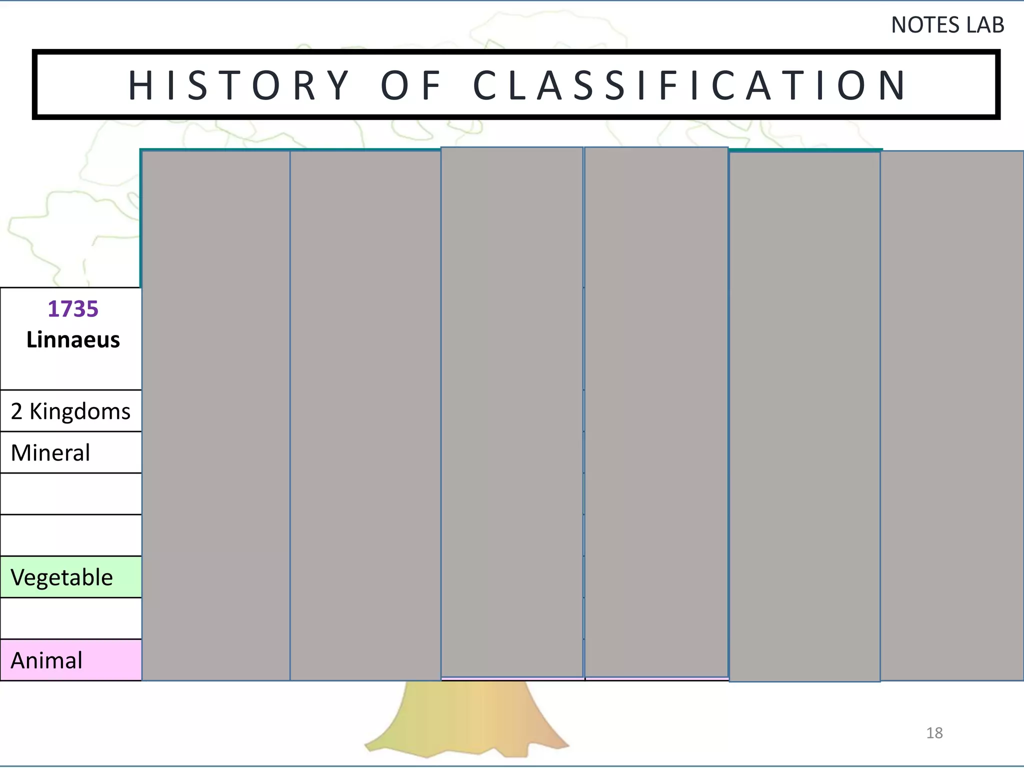 Genetics1 classification ranks and clades | PPTX | Biological Sciences ...