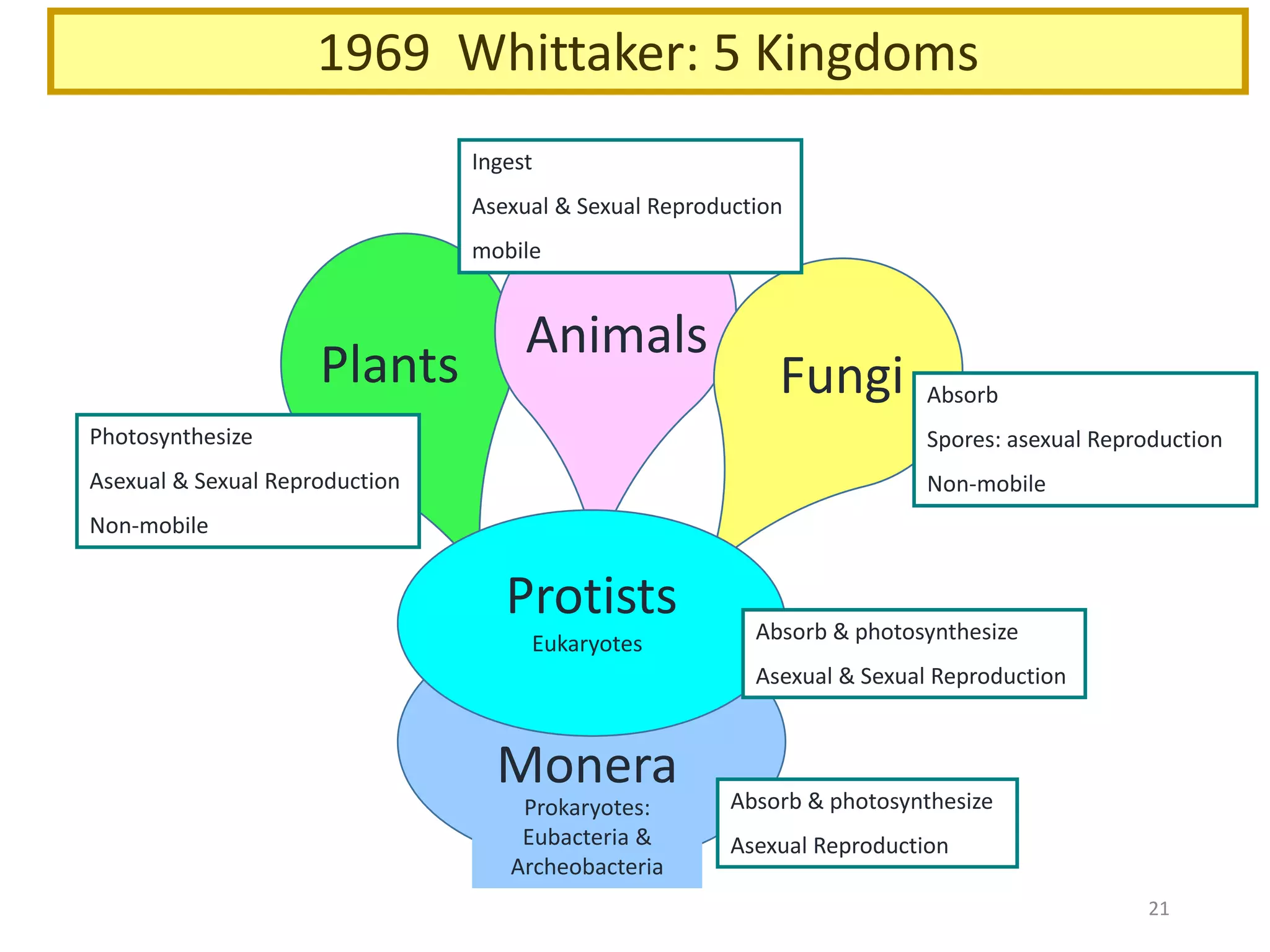 Genetics1 classification ranks and clades | PPTX | Biological Sciences ...