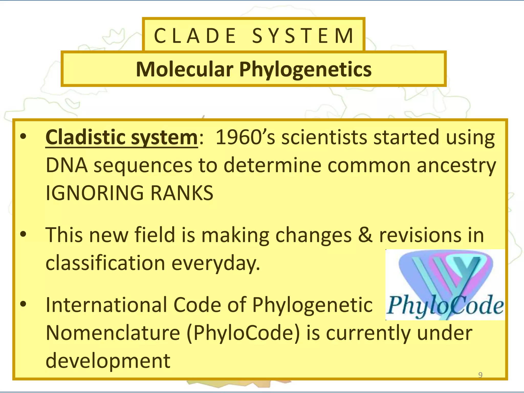 Genetics1 classification ranks and clades | PPTX | Biological Sciences ...