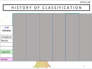 Genetics1 classification ranks and clades | PPTX | Biological Sciences ...