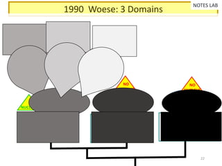 Genetics1 classification ranks and clades | PPTX | Biological Sciences ...