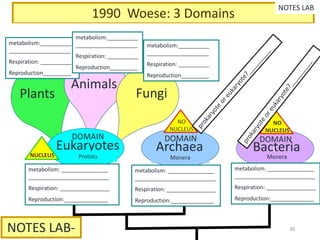 Genetics1 classification ranks and clades | PPTX | Biological Sciences ...