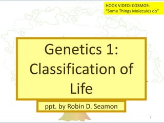 Genetics1 classification ranks and clades | PPT