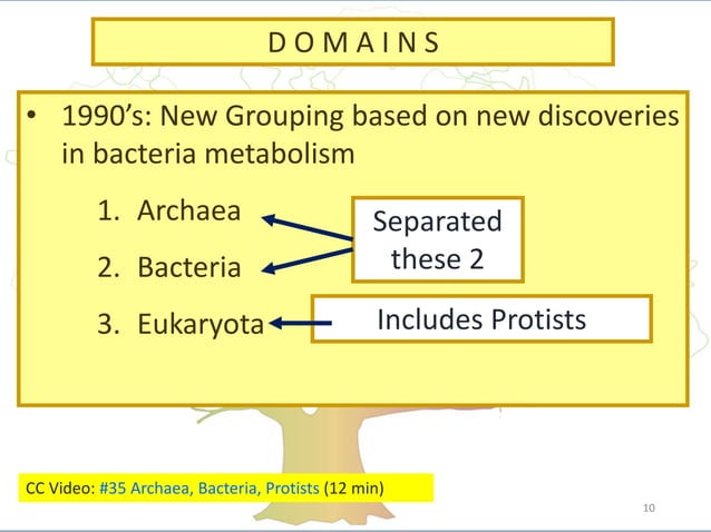 Genetics1 classification new | PPT
