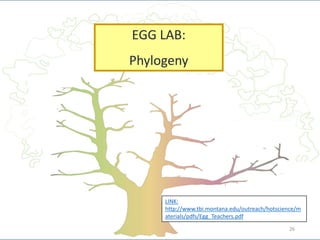 Genetics1 classification new | PPT
