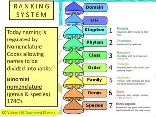 Genetics1 classification new. | PPT
