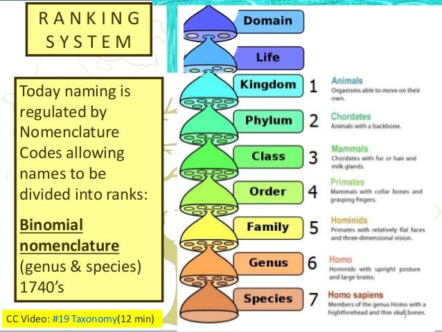 Genetics1 classification rs