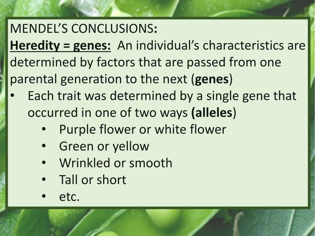 Genetics 1 Mendel Notes | PPT