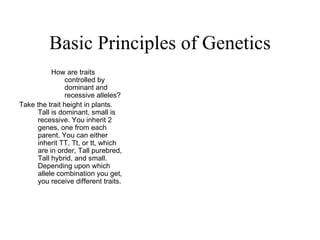 Genetics2 | PPT