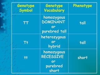 Genetics 2 | PPT