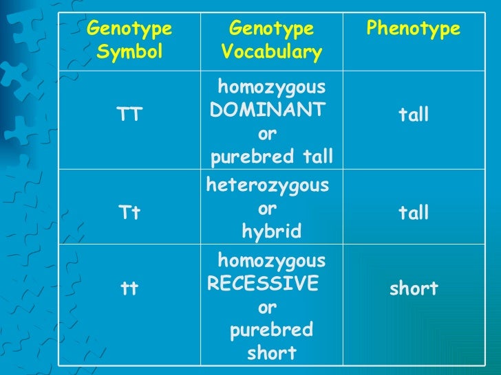 Genetics 2 genetics-2