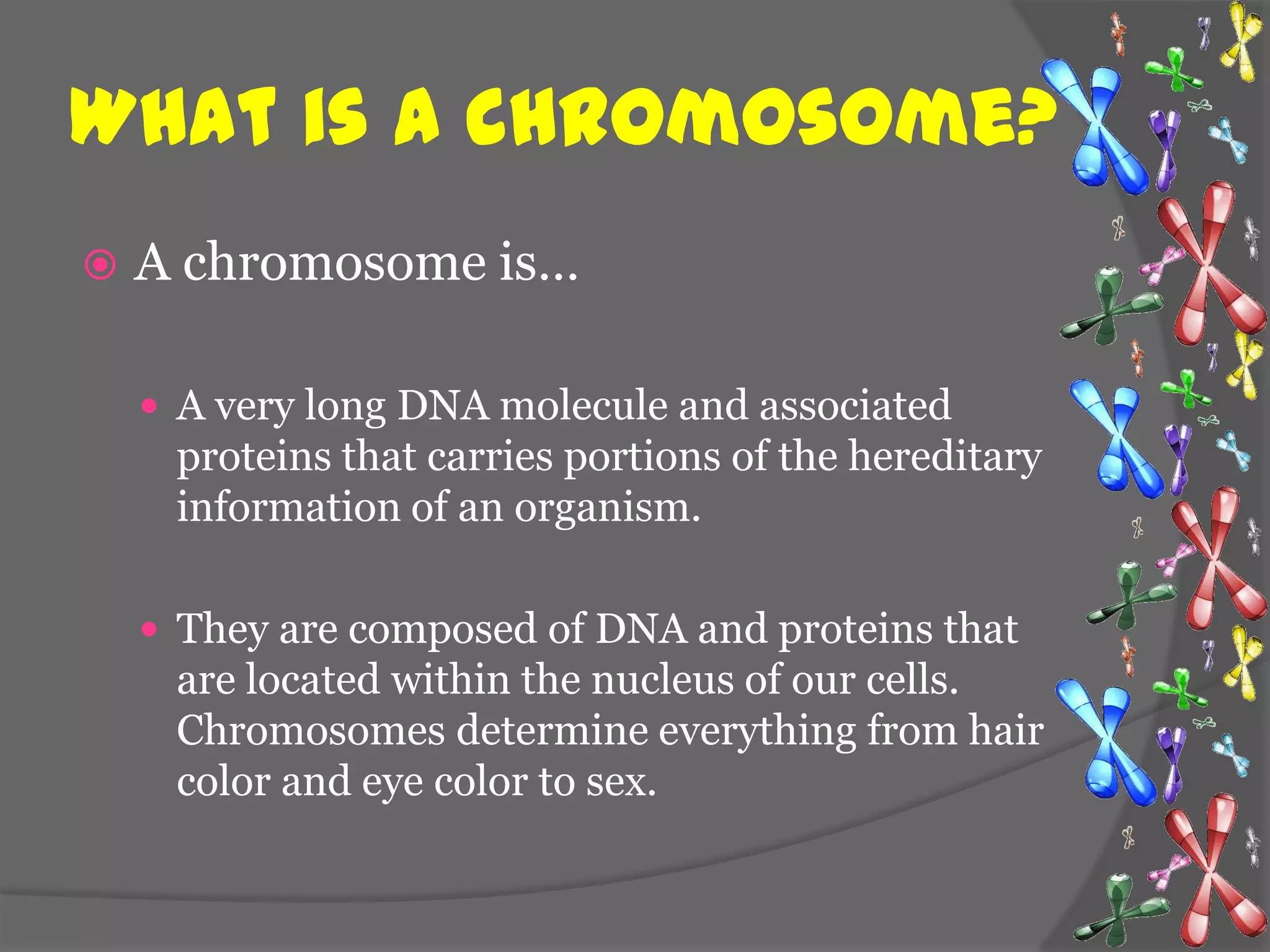 Human Chromosomes and Chromosome Behavior | PPTX