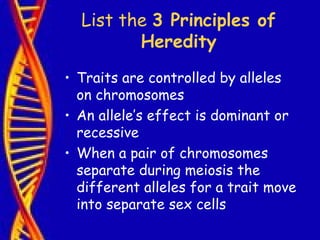 Genetics (2) | PPT | Genetics | Science