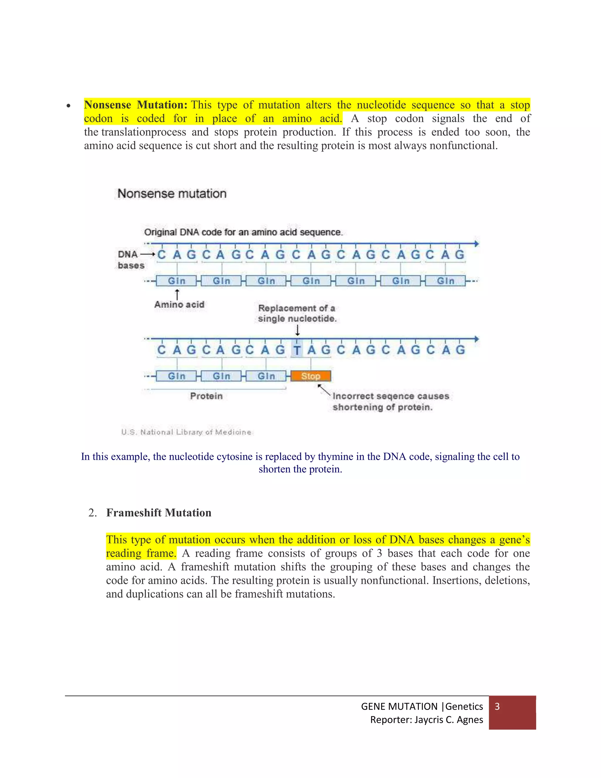 Gene Mutation - Genetics | PDF