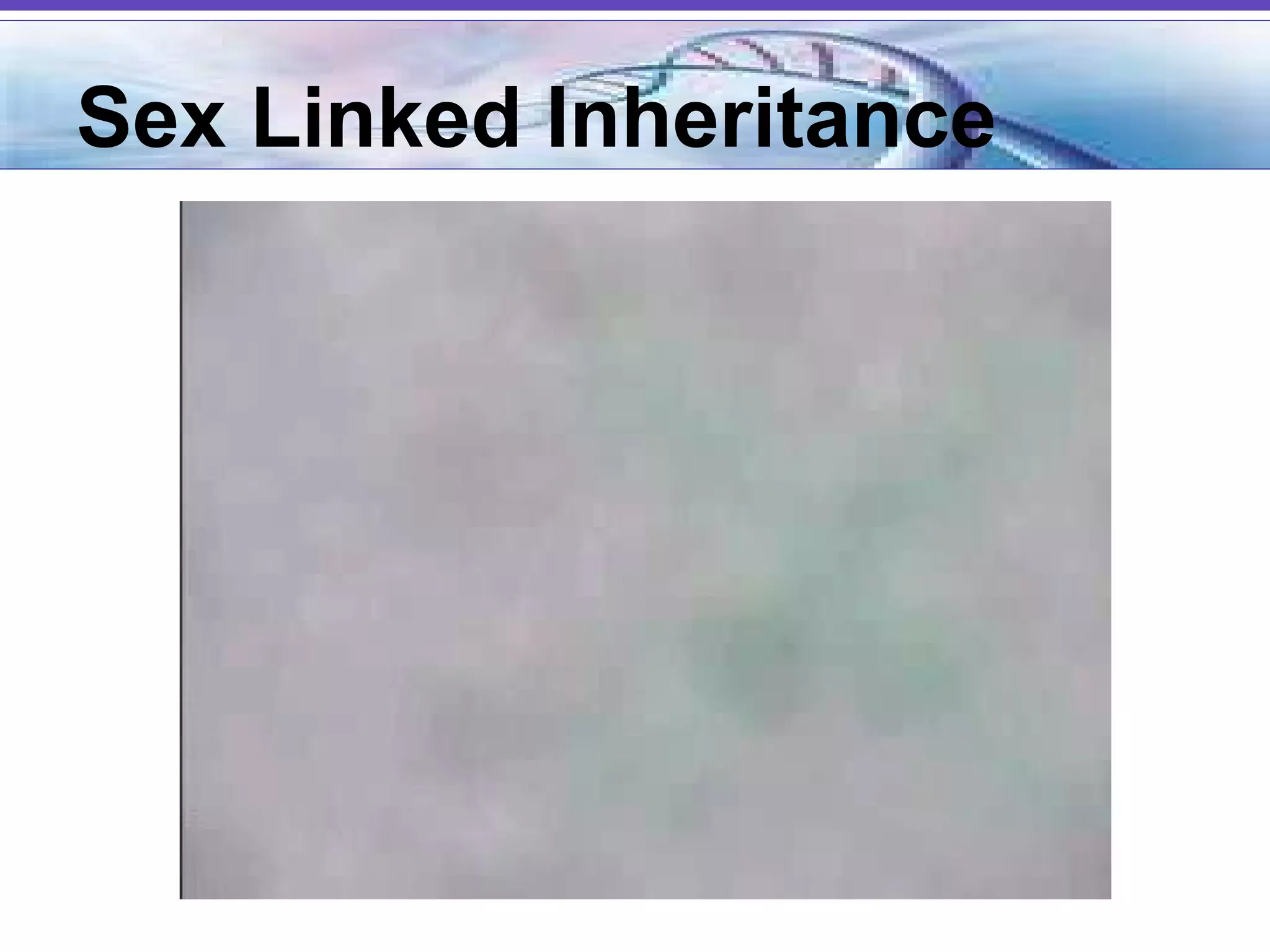 Genetics Notes | PPT