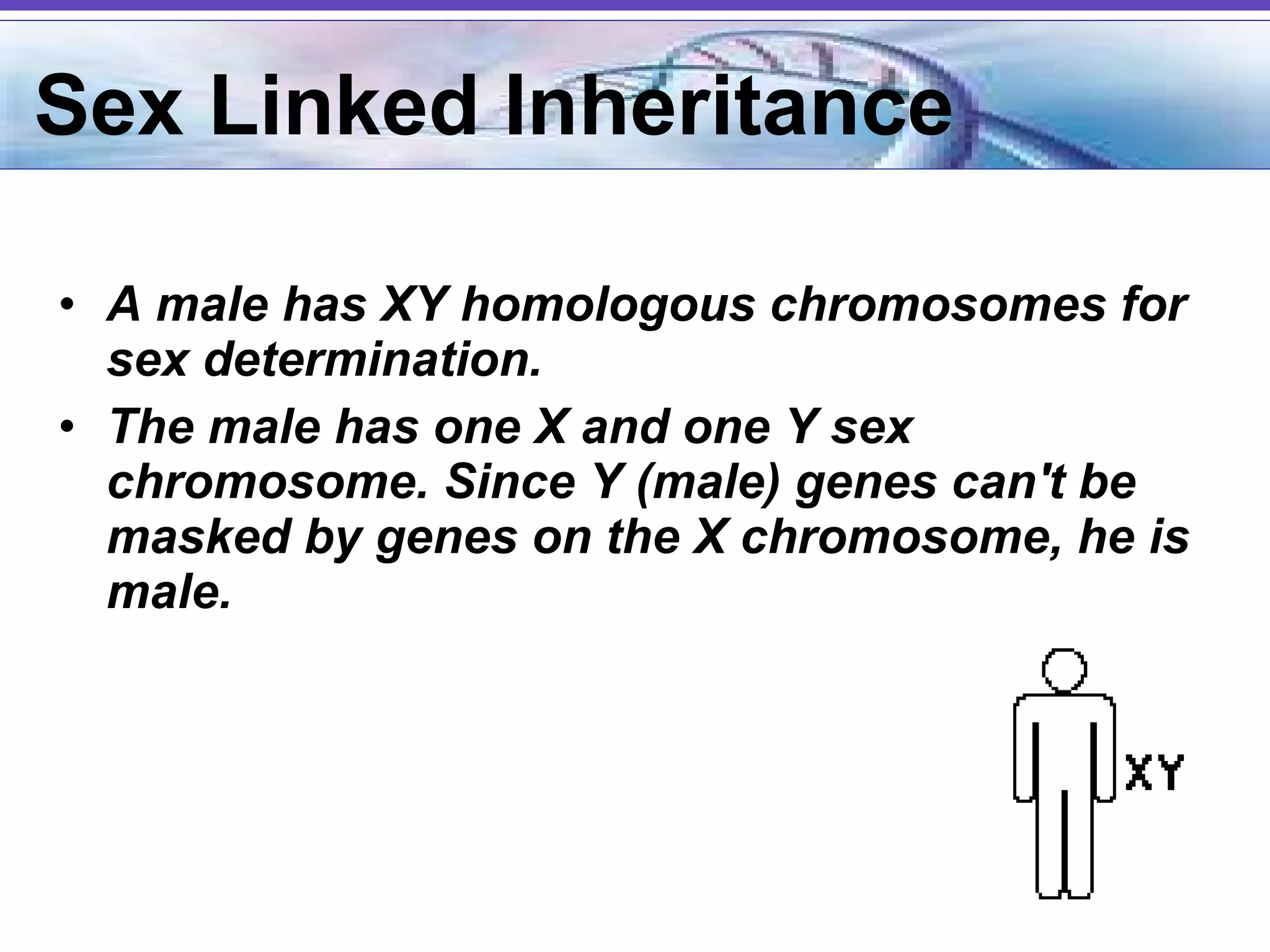 Genetics Notes | PPT