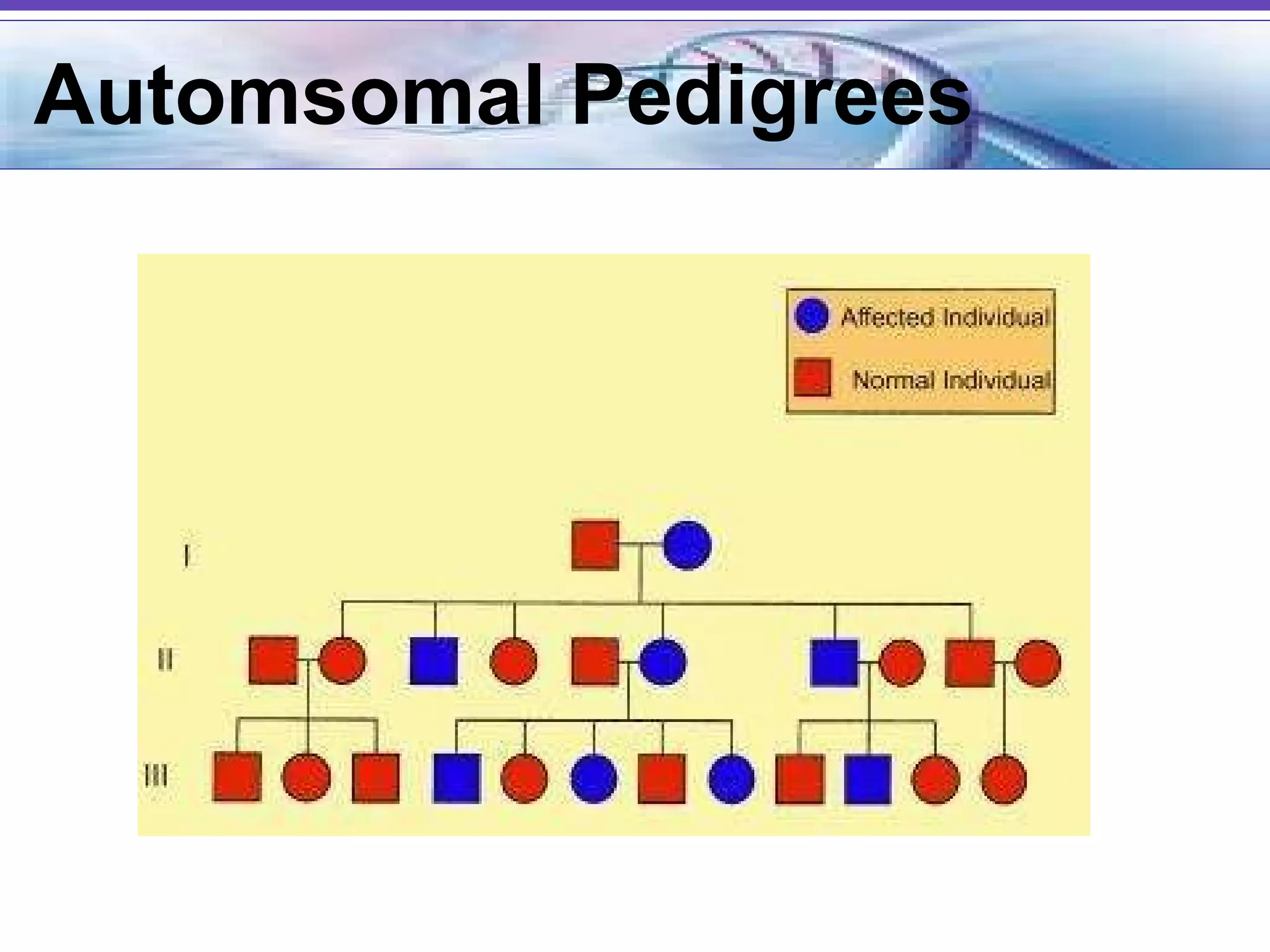 Genetics Notes | PPT