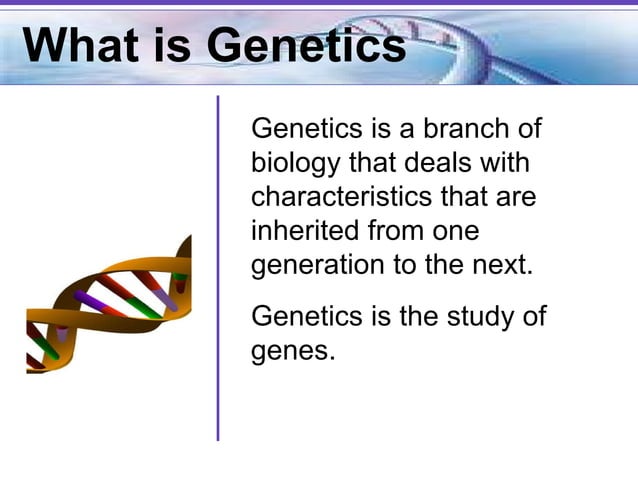 Genetics Notes | PPT | Genetics | Science