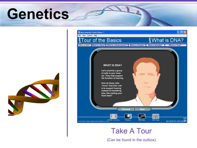 Genetics Notes | PPT | Genetics | Science