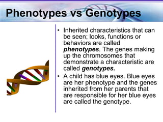 Genetics Notes | PPT