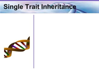 Genetics Notes | PPT